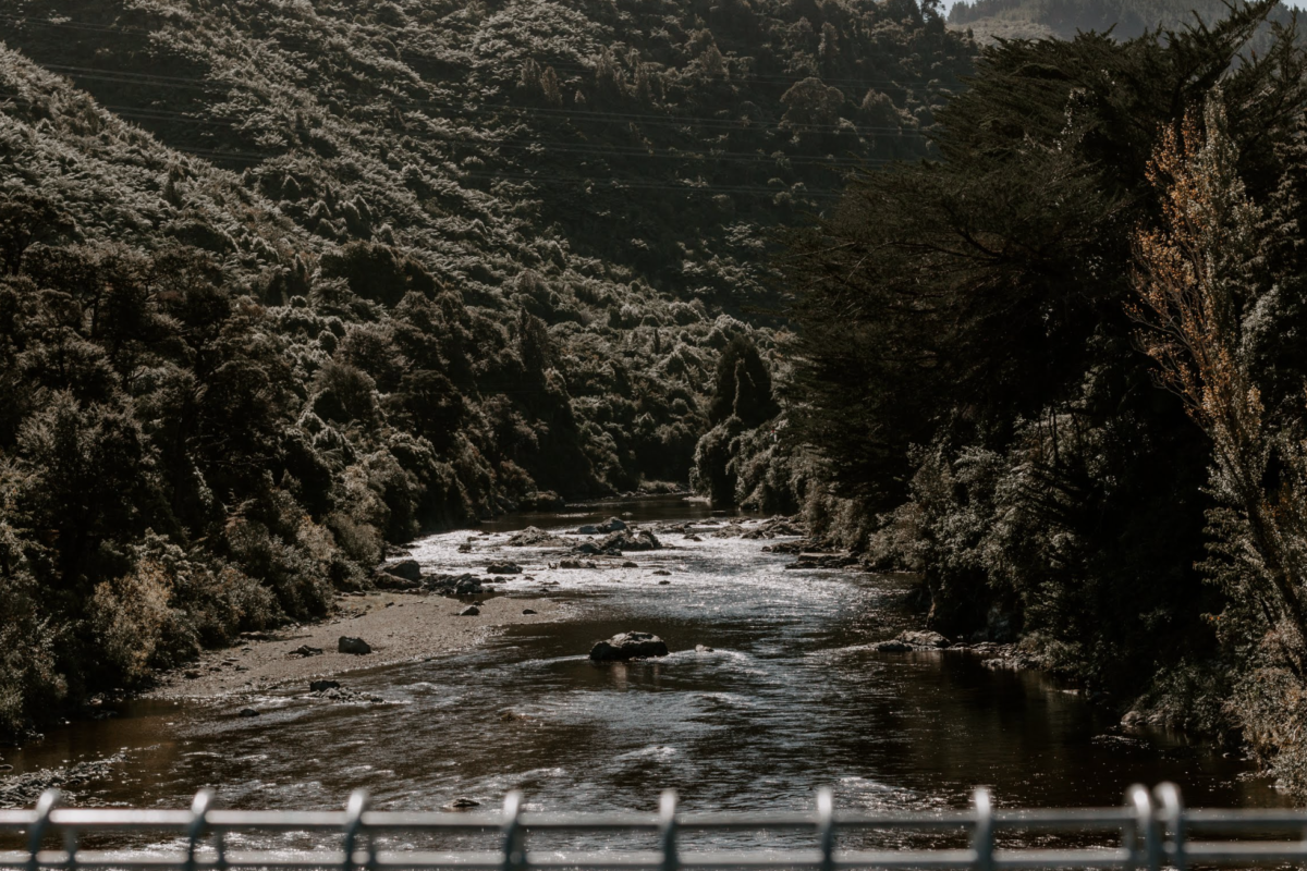 Live Adventurously Expectant - Live Salted